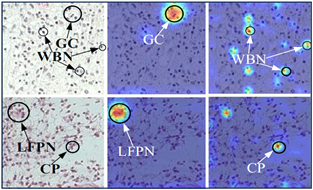 Sukhum's Homepage - Homepage